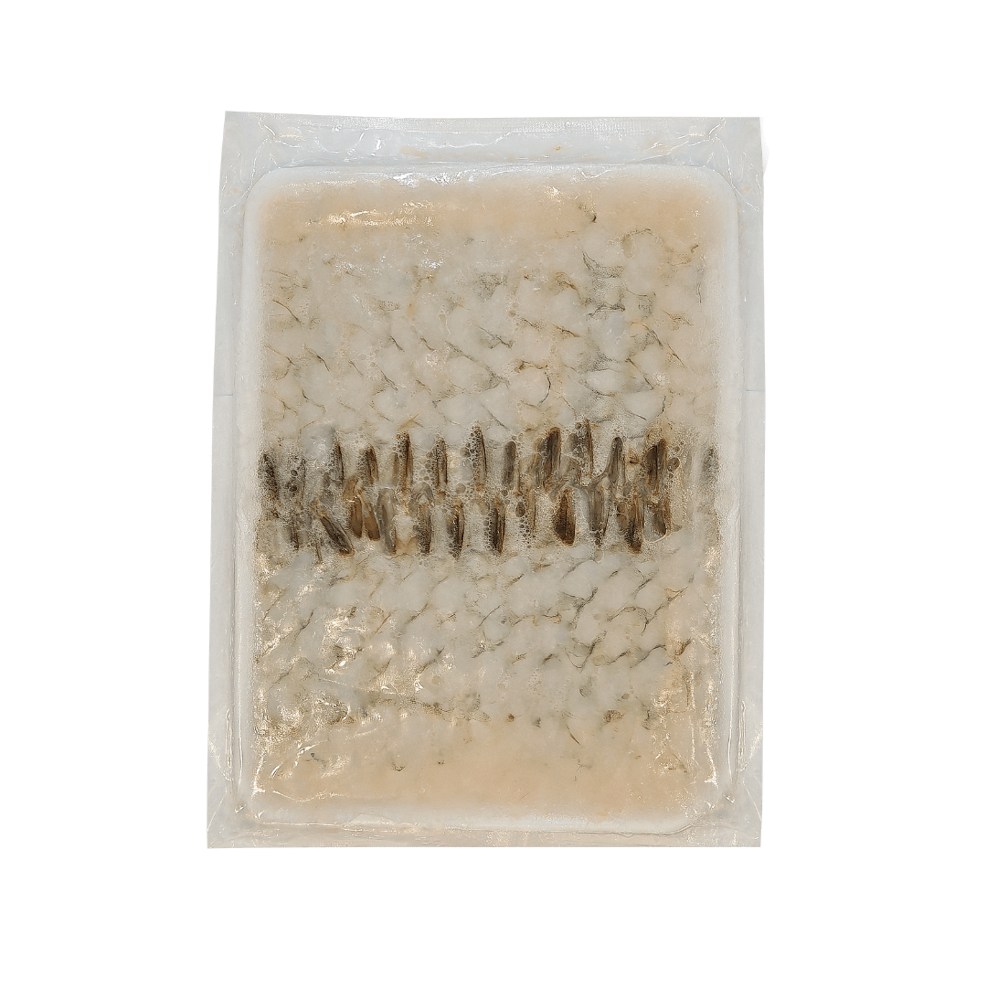 Nobashi Ebi Jumbo (for Shrimp Tempura) | Pacific Bay