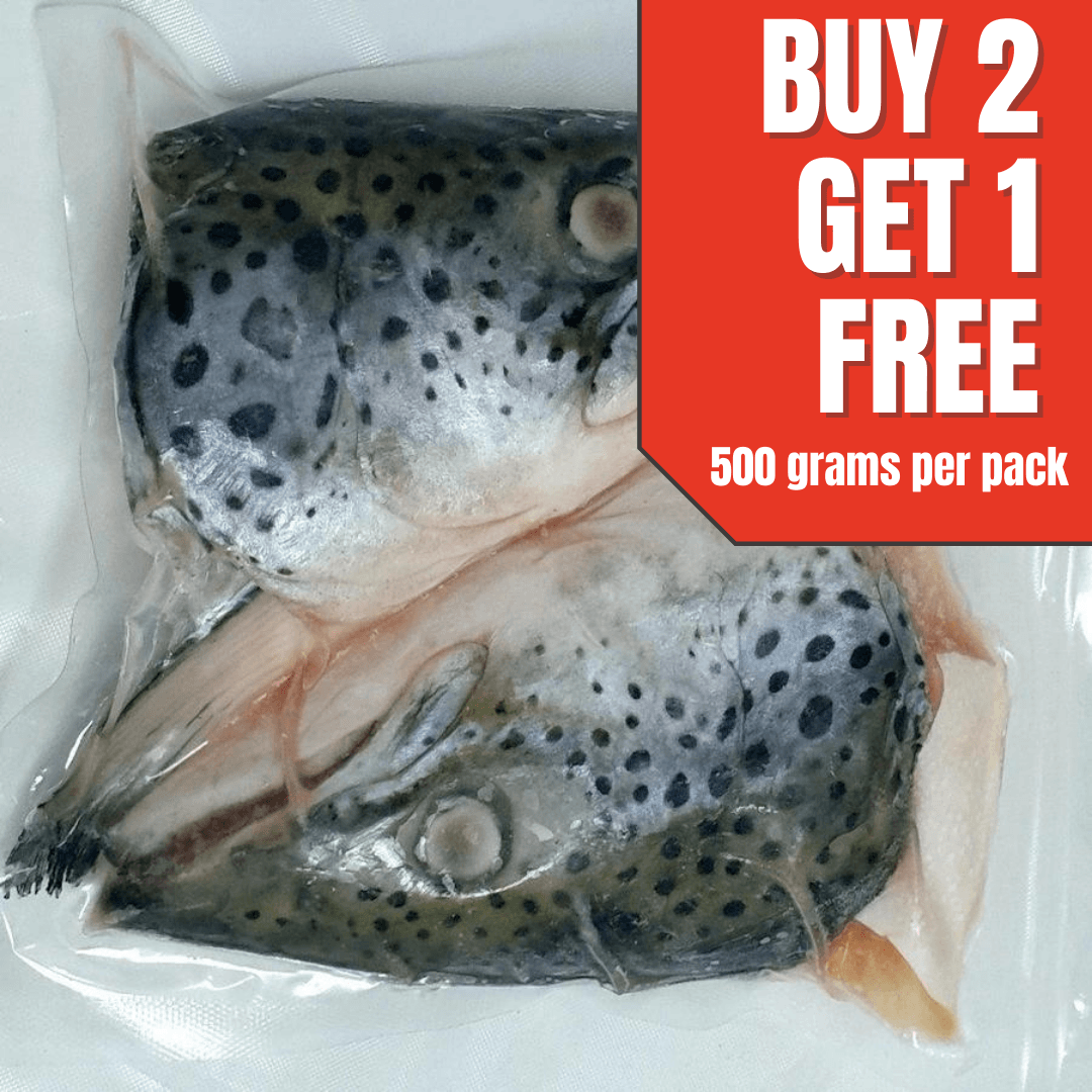 SALMON | Pacific Bay