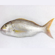 Goldband Snapper (Whole) | Pacific Bay