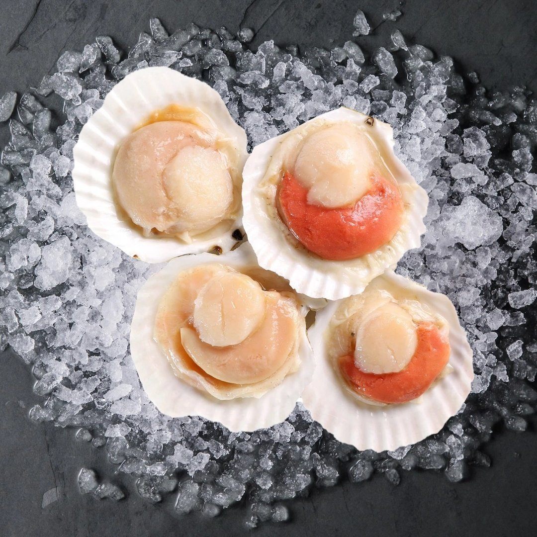Japanese Half Shell Scallops | Pacific Bay