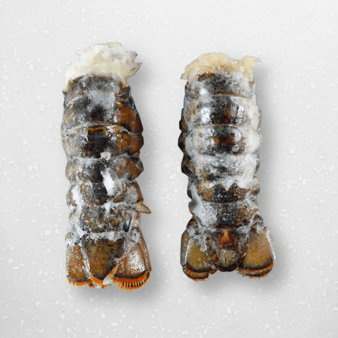 Pacific Bay Lobster Tail