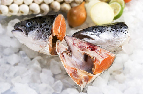 Salmon Head | Pacific Bay