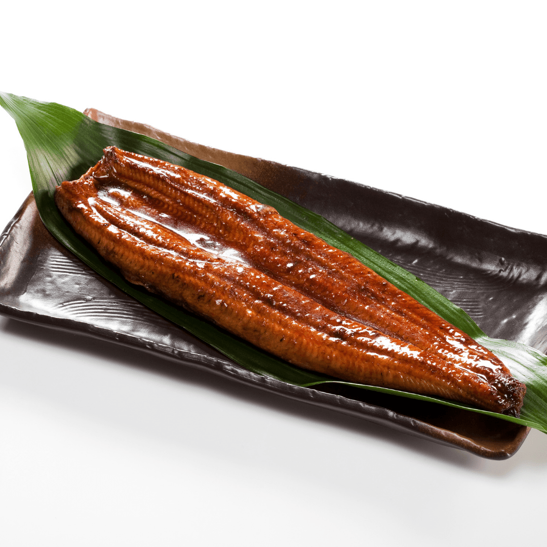 Unagi Kabayaki (Japanese Style Roasted Eel) | Pacific Bay