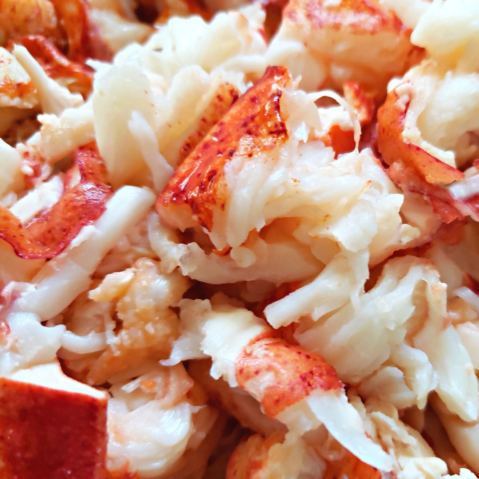 CRUSTACEANS | Pacific Bay