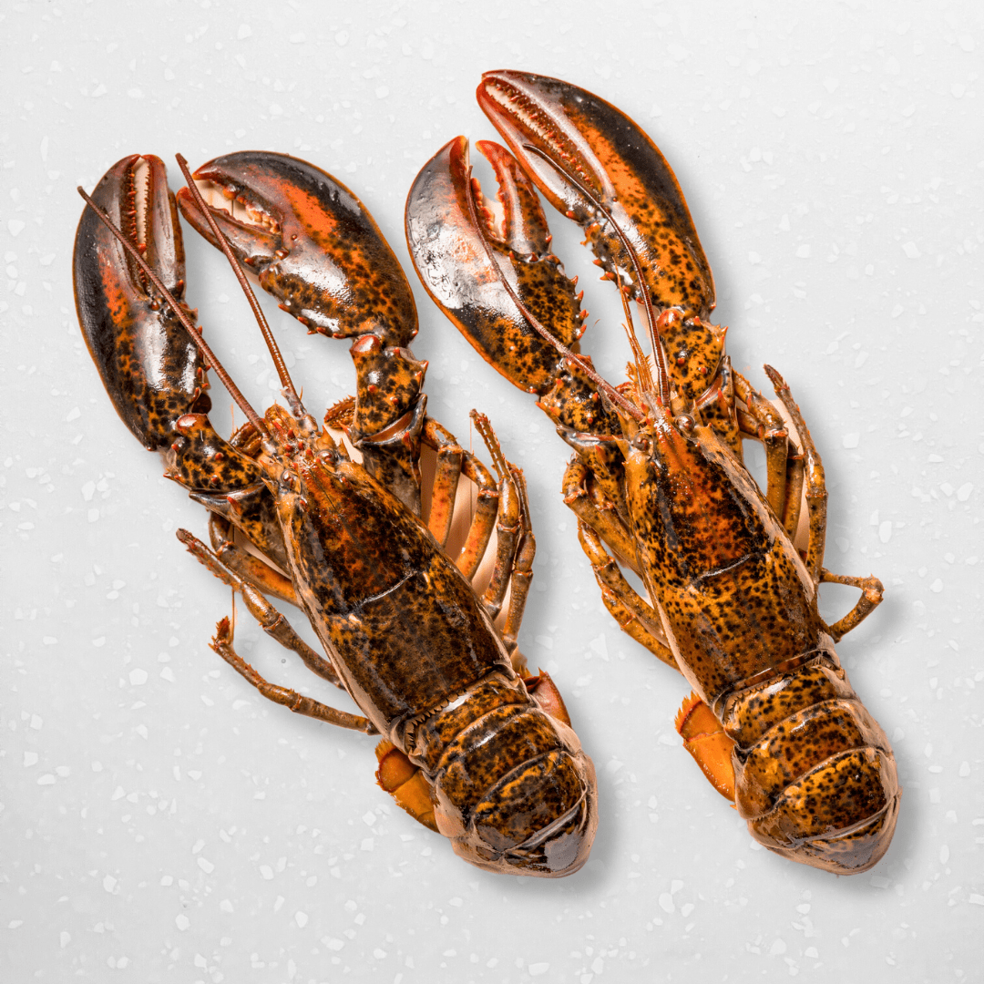 CRUSTACEANS | Pacific Bay